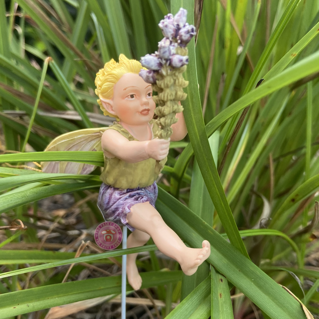 Cicely Mary Barker Heather Fairy Flower Fairies Figurine – The Fairy Shop