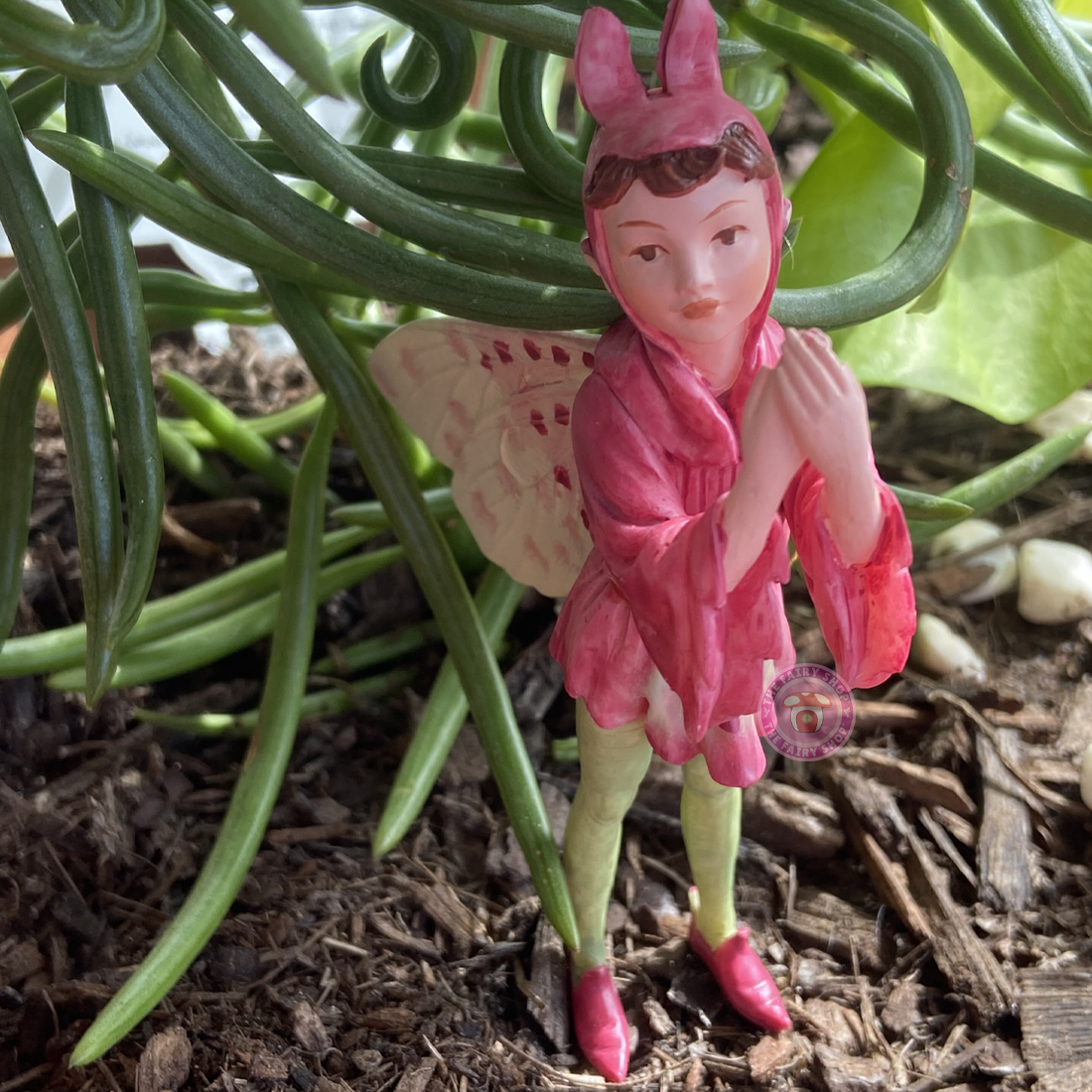 Flower Fairies – The Fairy Shop
