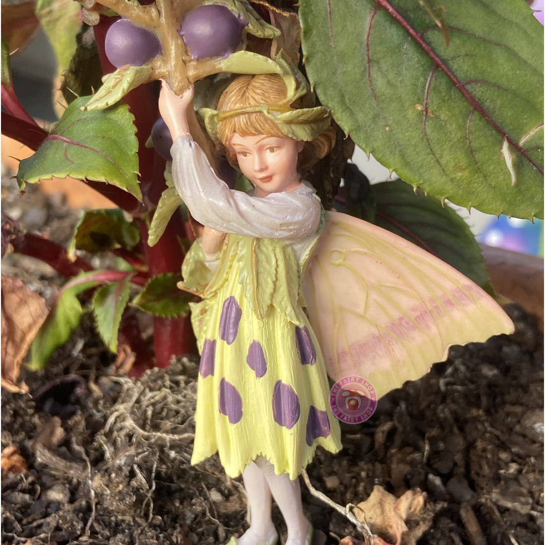 Cicely Mary Barker Sloe Fairy Flower Fairies Figurine – The Fairy Shop