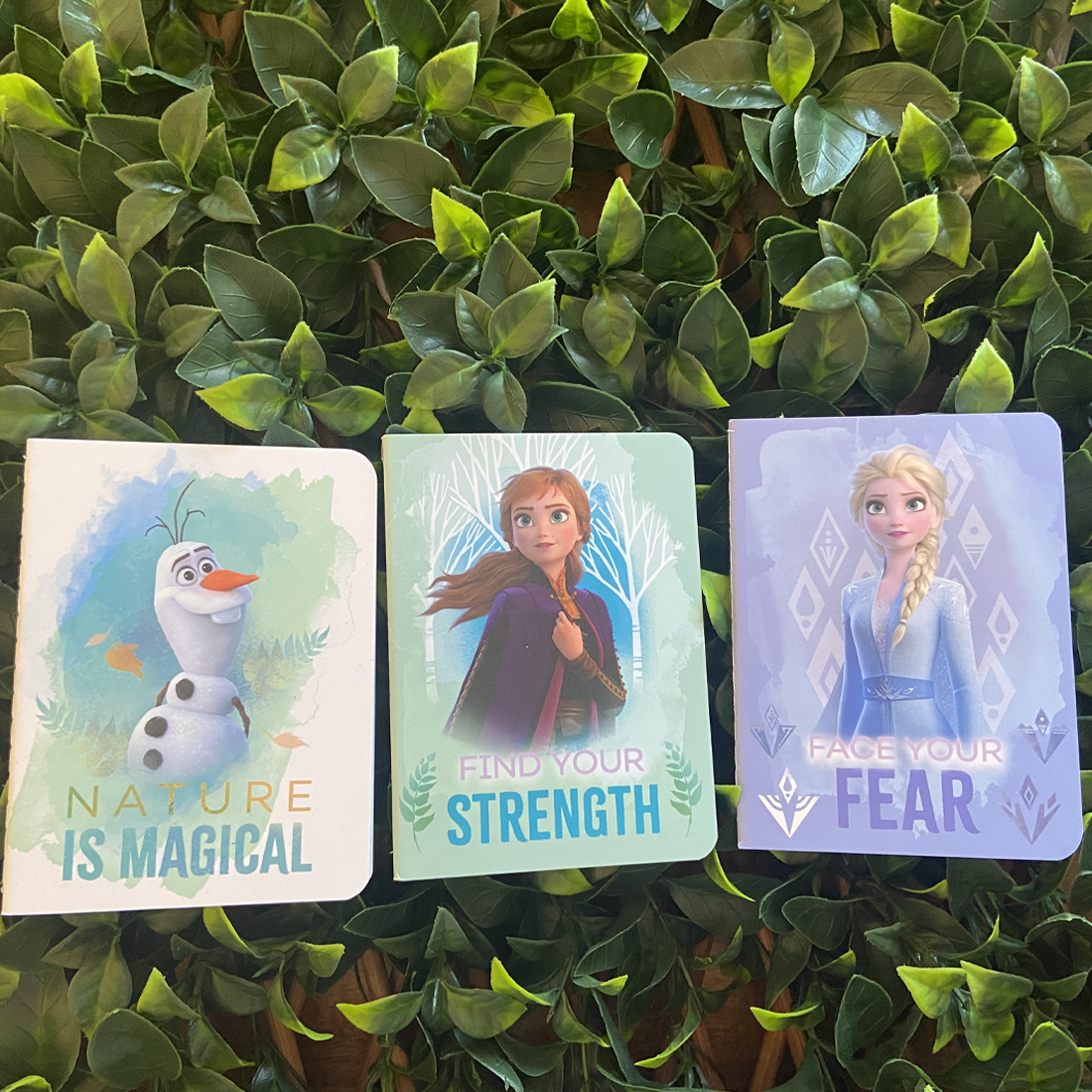 Disney Frozen 2 Nature is Magical Notebooks – The Fairy Shop