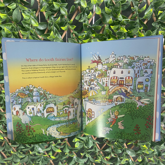 Everything You Ever Wanted to Know About the Tooth Fairy (And Some Thi – The Fairy Shop