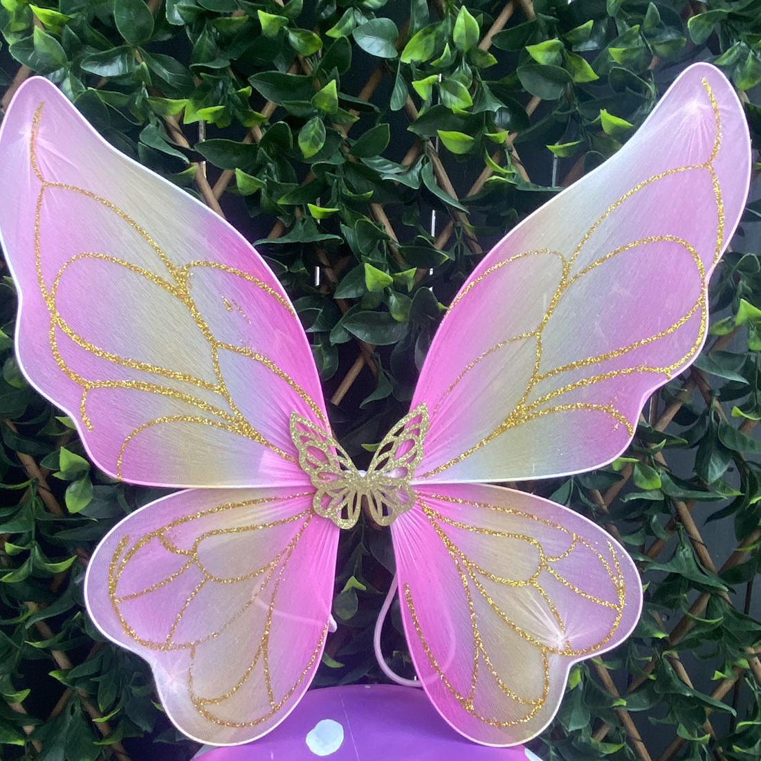 Fairy Sparkle Wire Wings – The Fairy Shop