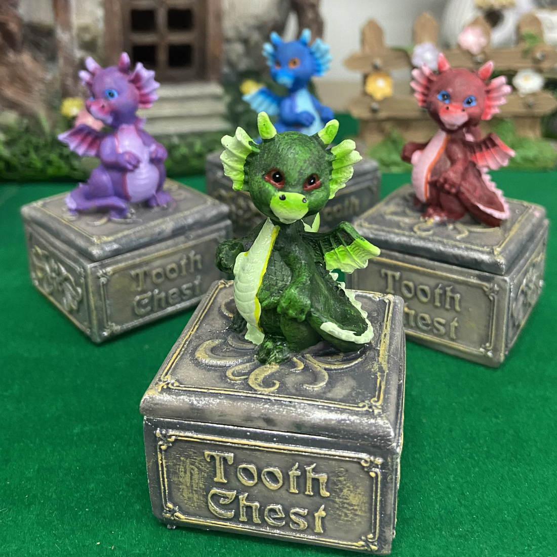 Little Dragon Tooth Chest – The Fairy Shop