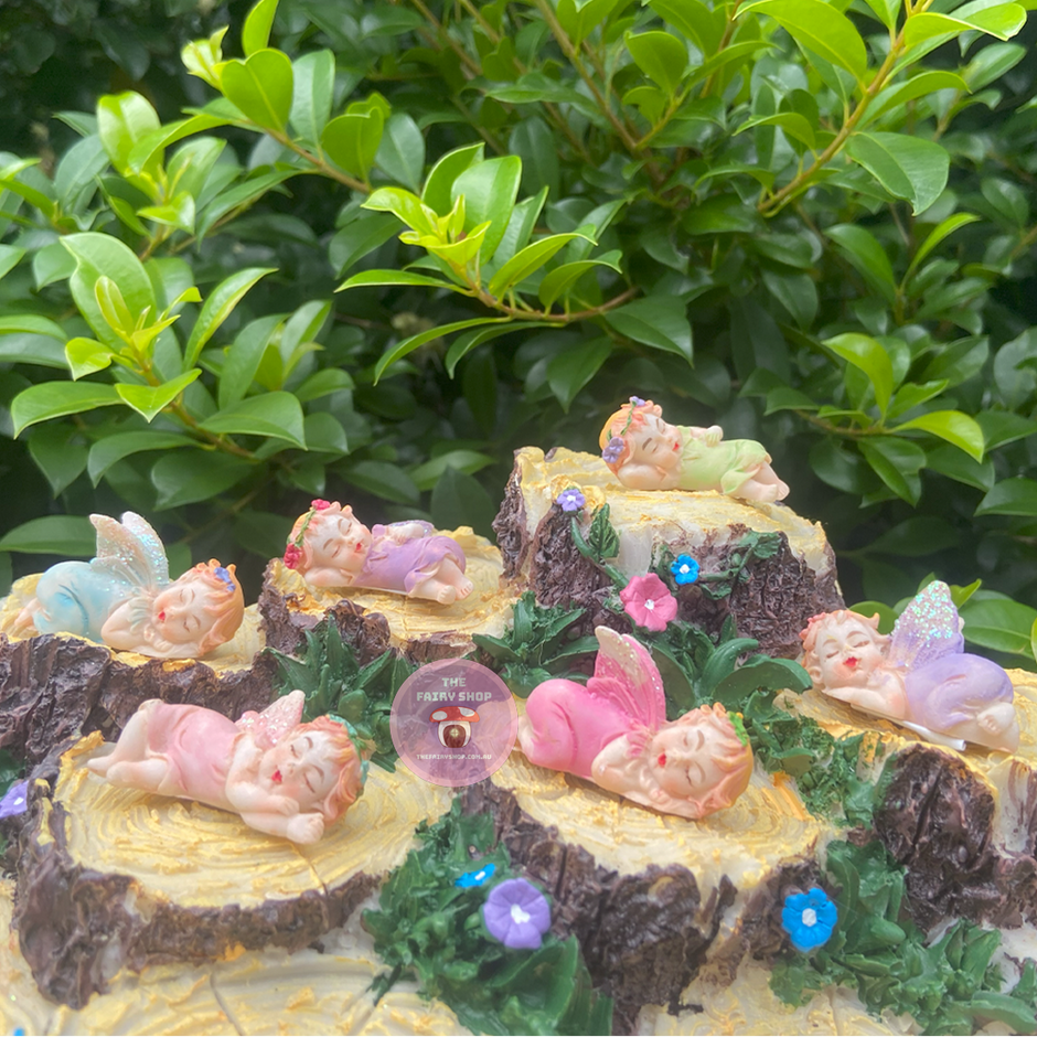 The Fairy Shop