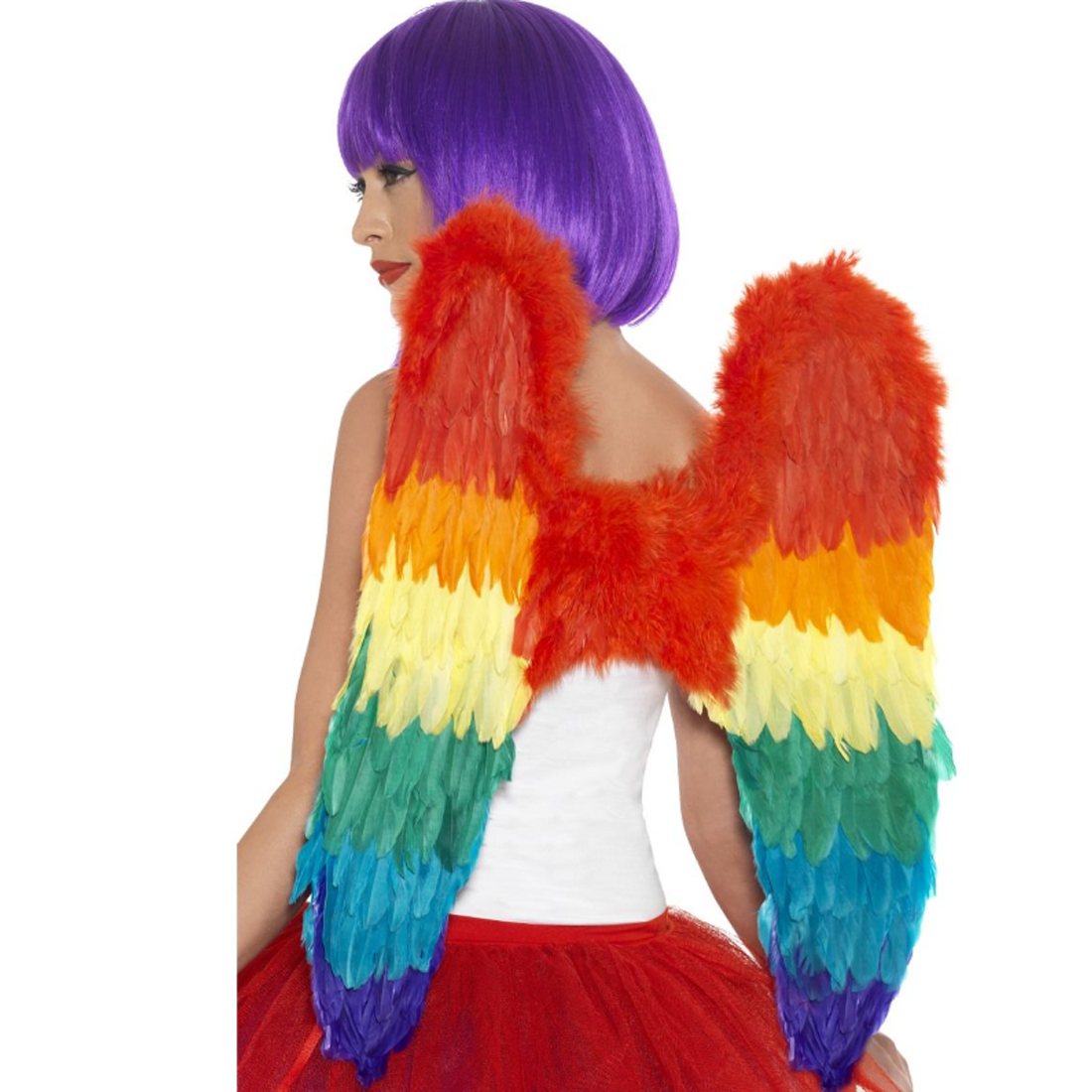 Large Rainbow Feather Wings – The Fairy Shop